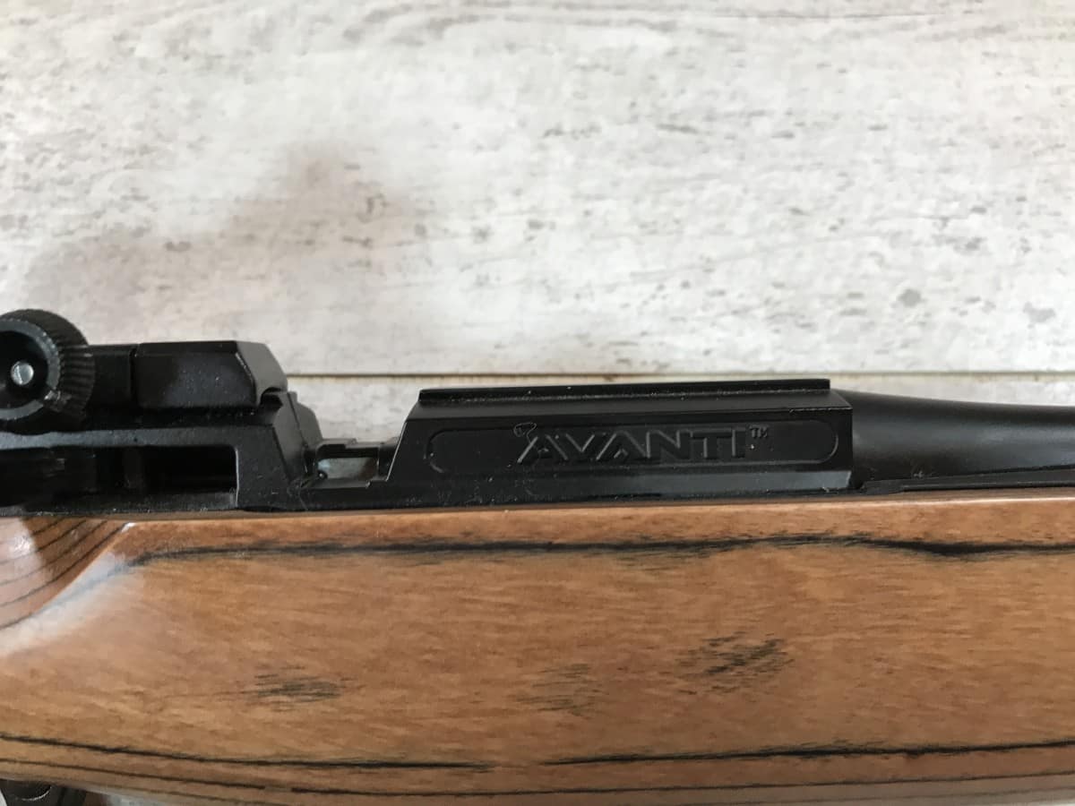 DAISY MATCH GRADE MODEL 887 AVANTI, .177 CAL PELLET RIFLE #096-BP ...